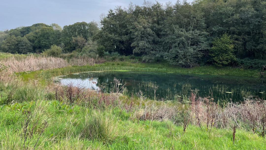 Tattiscombe Transformation - Devon Resilience Innovation Project