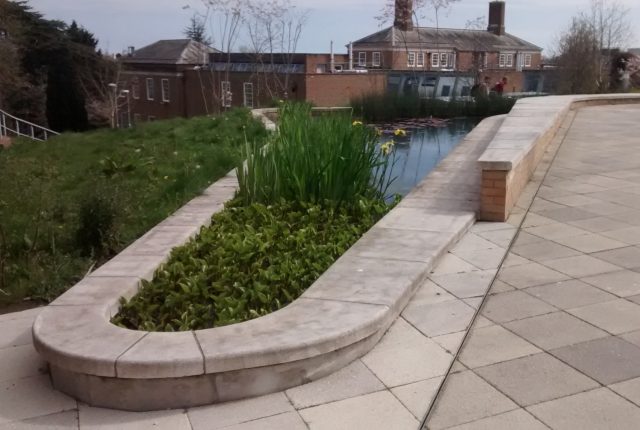 Sustainable Drainage Systems (SuDS) - Flood Risk Management