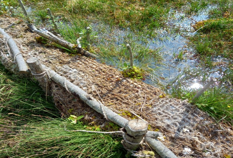 Natural flood management - Flood Risk Management