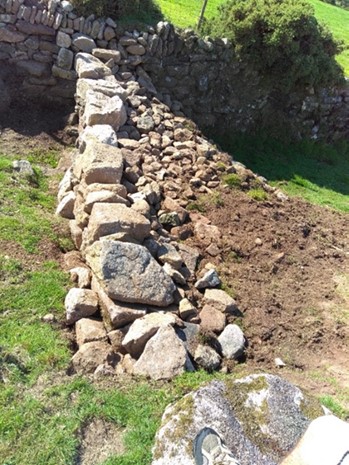 Natural flood management - Flood Risk Management