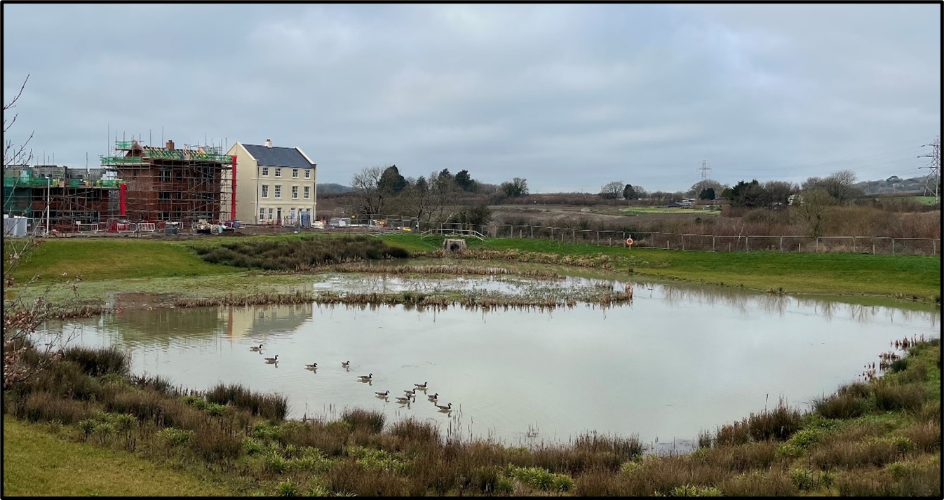 Sustainable Drainage System - Guidance for Devon (2023) - Flood Risk Management