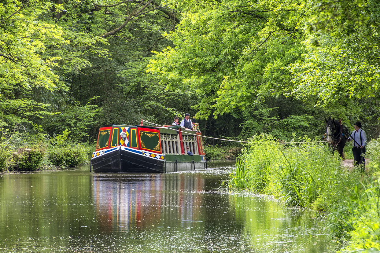 Devon County Council - Grand Western Canal Country Park
