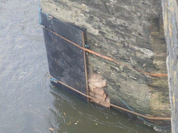 Greystone bridge pier repaired - News