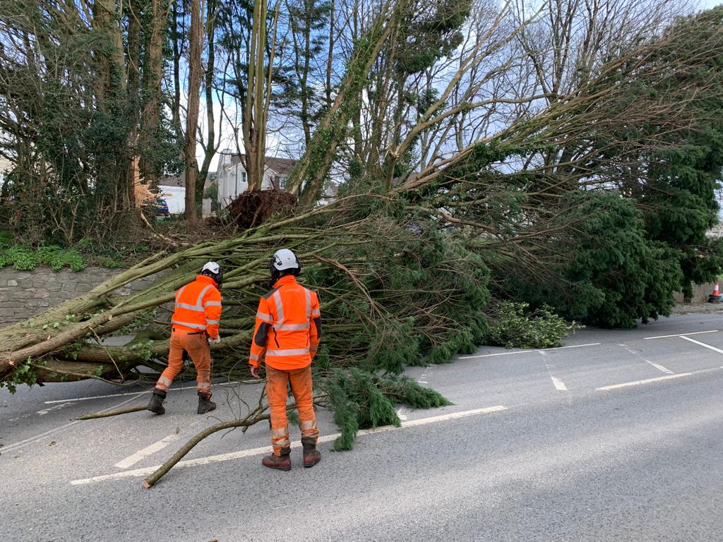 Devon on the road to recovery - News