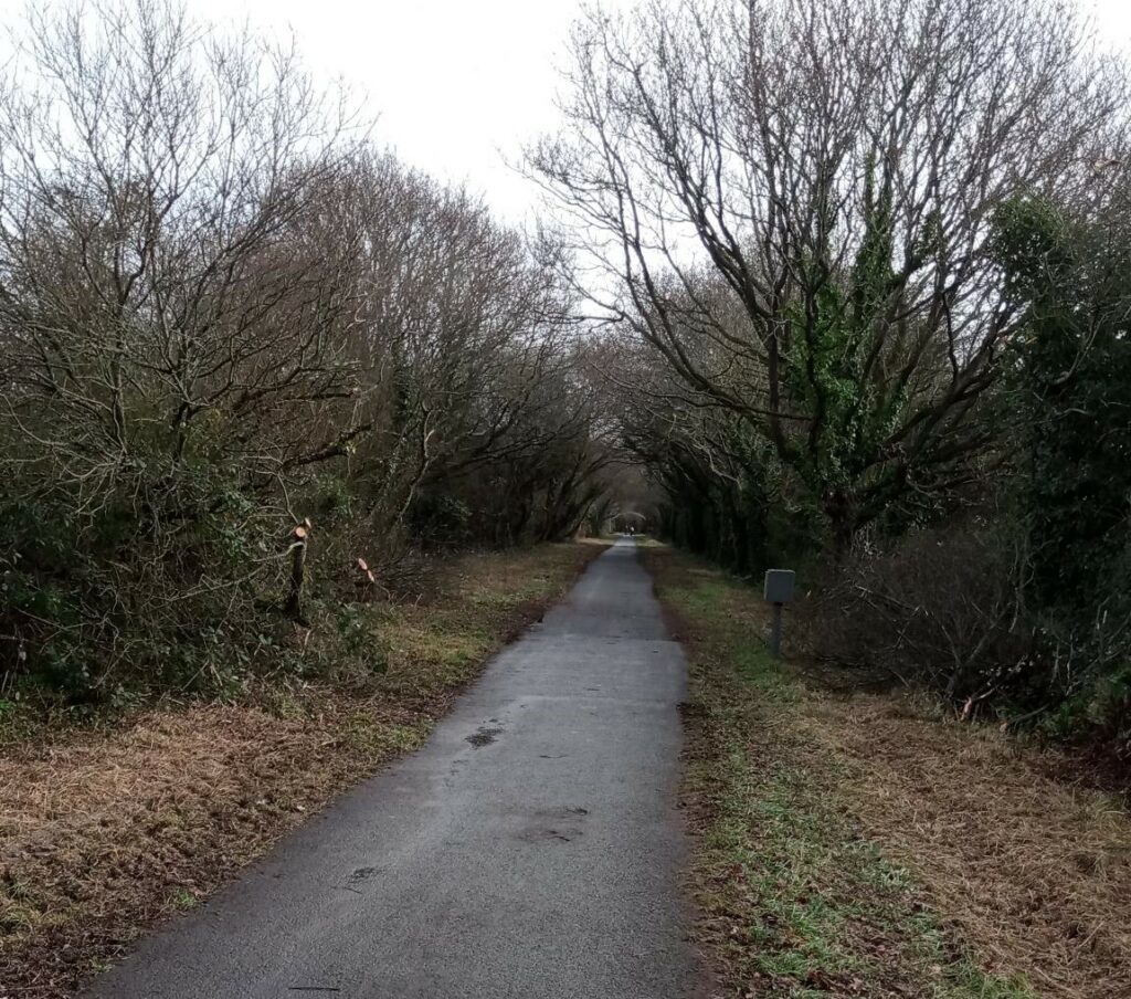 Resurfacing on section of the Tarka Trail - News