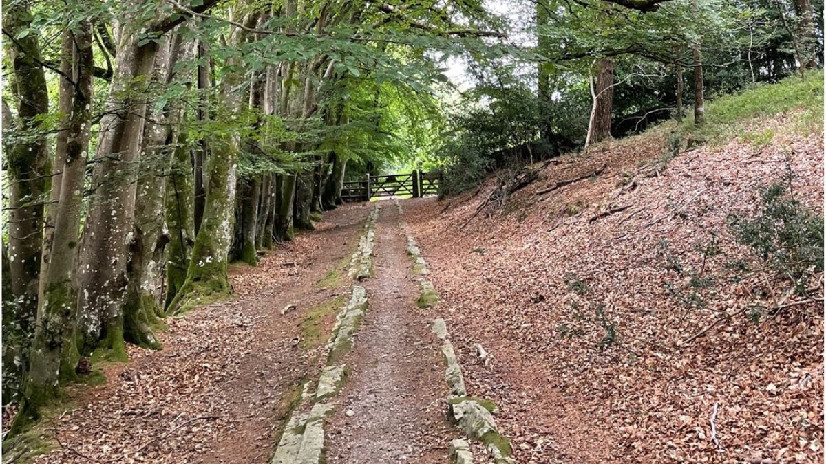 Natural and built heritage of Stover Country Park to be brought to life ...