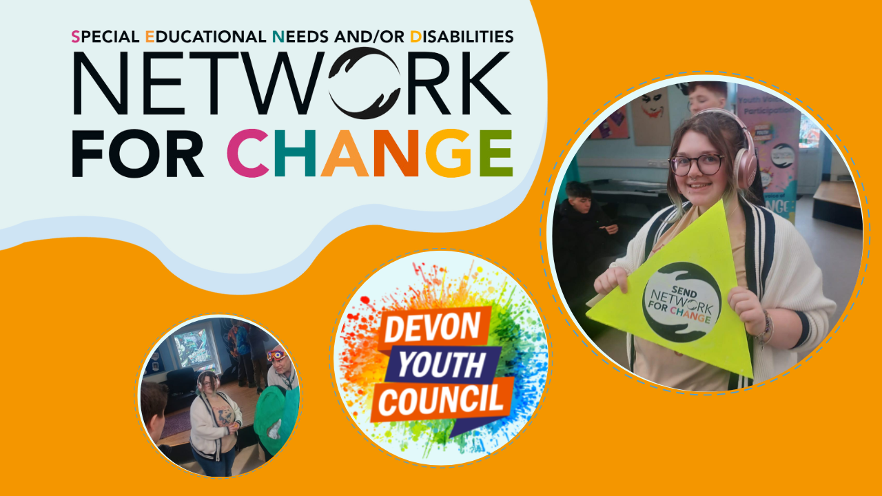 January update from Devon's SEND Network for Change - News