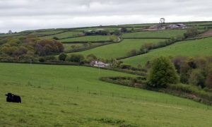 Taw Valley - Planning