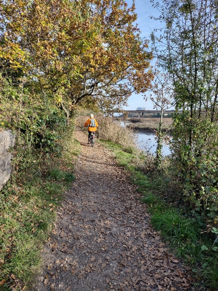 The Teign Estuary Trail - Roads and transport