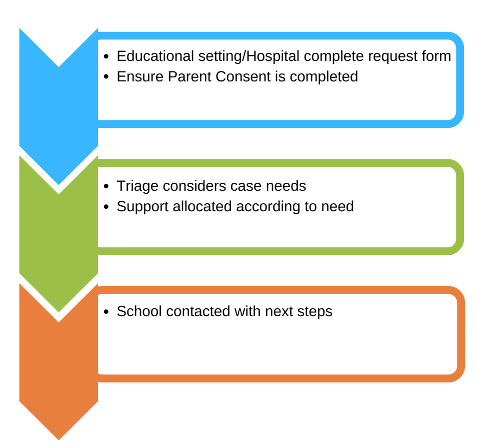 Request for access to SEND support - guidance - Support for schools and ...