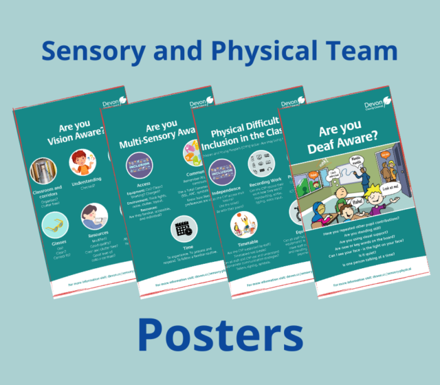 Sensory and Physical Team posters - Support for schools and settings