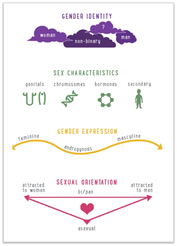 Understanding gender identity - Support for schools and settings